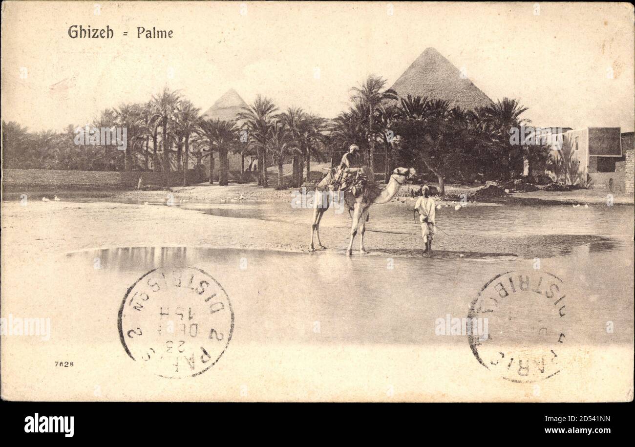 Gizeh Ägypten, Palme, Kamel am Wasser, Pyramiden | usage worldwide ...