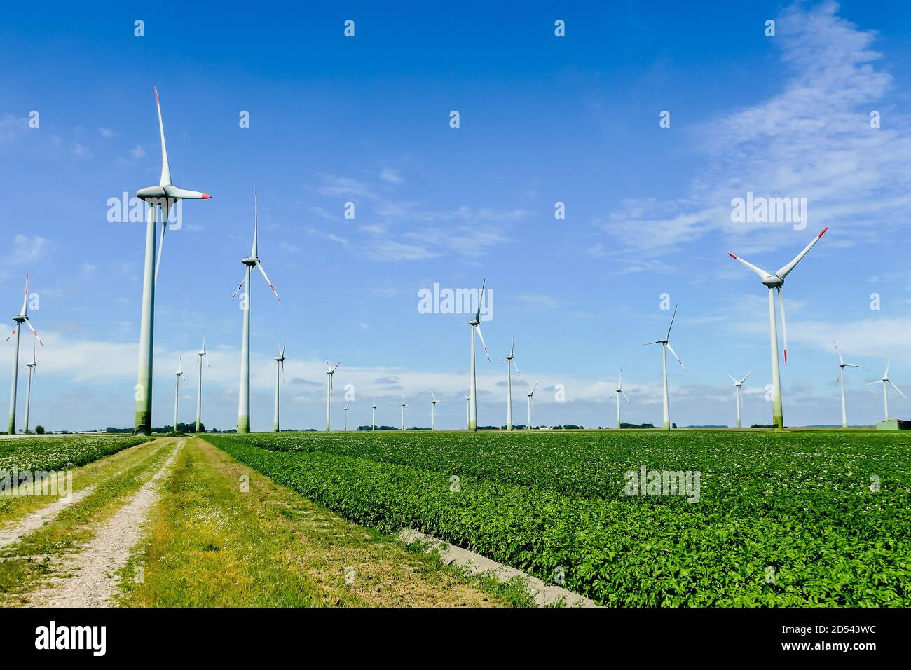 wind turbines in the field, in Sweden Scandinavia North Europe Stock ...