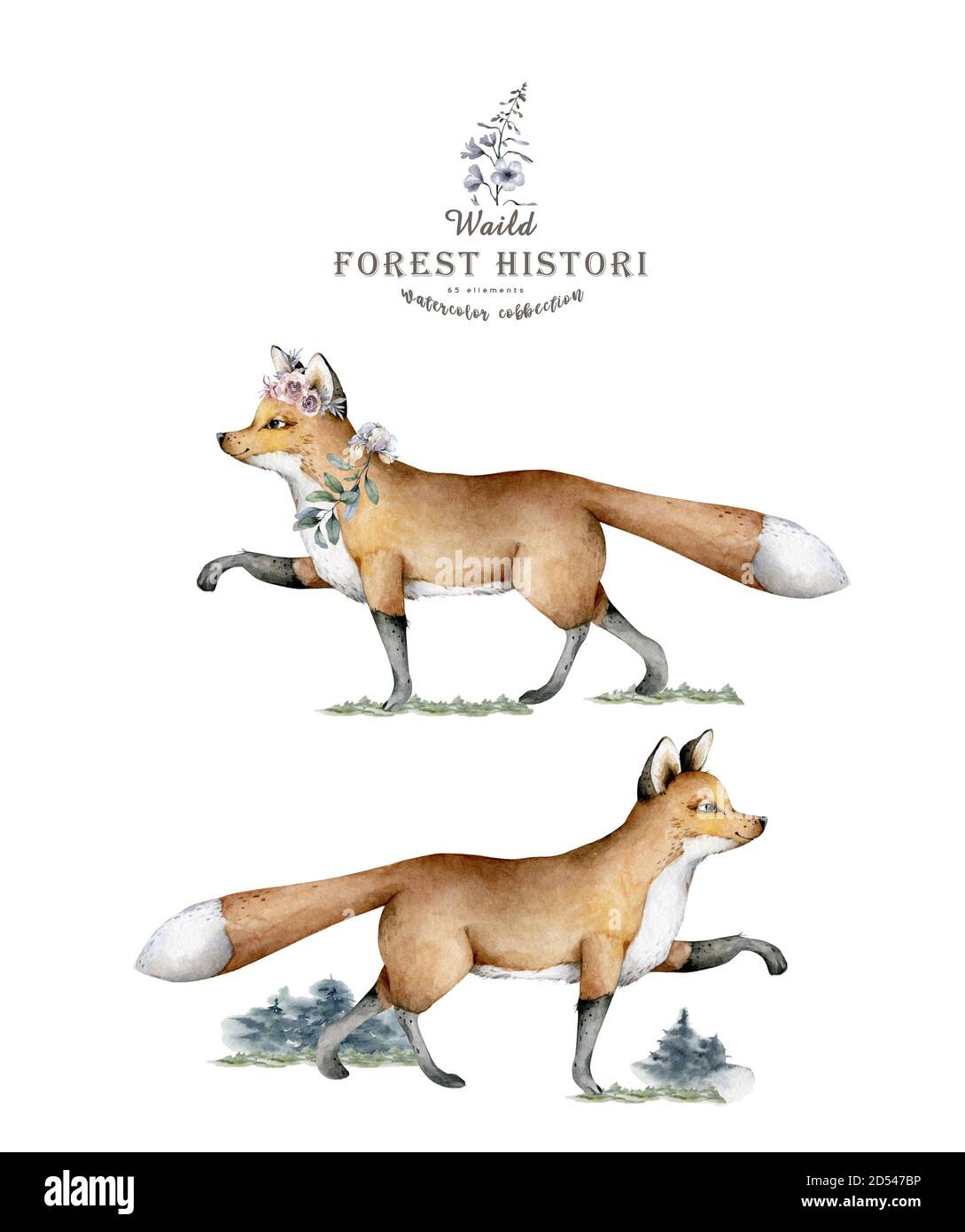 Red Fox Animal Drawing