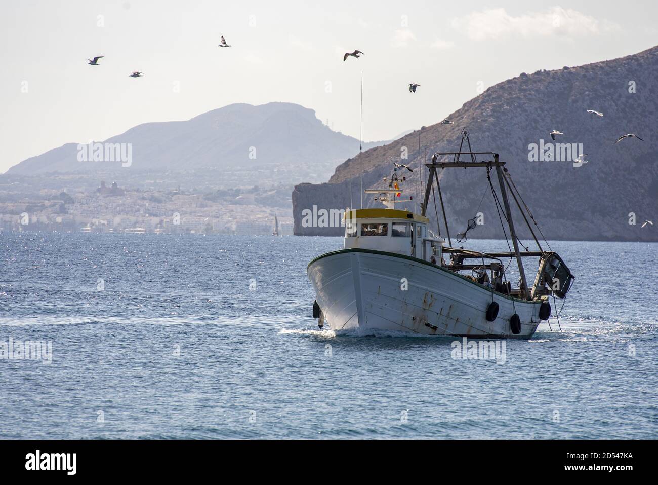 Ship on the sea with a flock of birds flying above it surrounded by ...