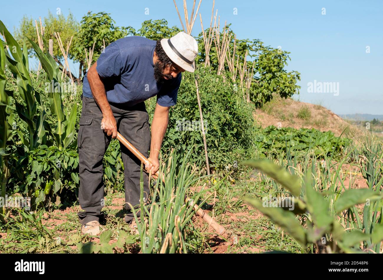 Afro colombian male hi-res stock photography and images - Alamy