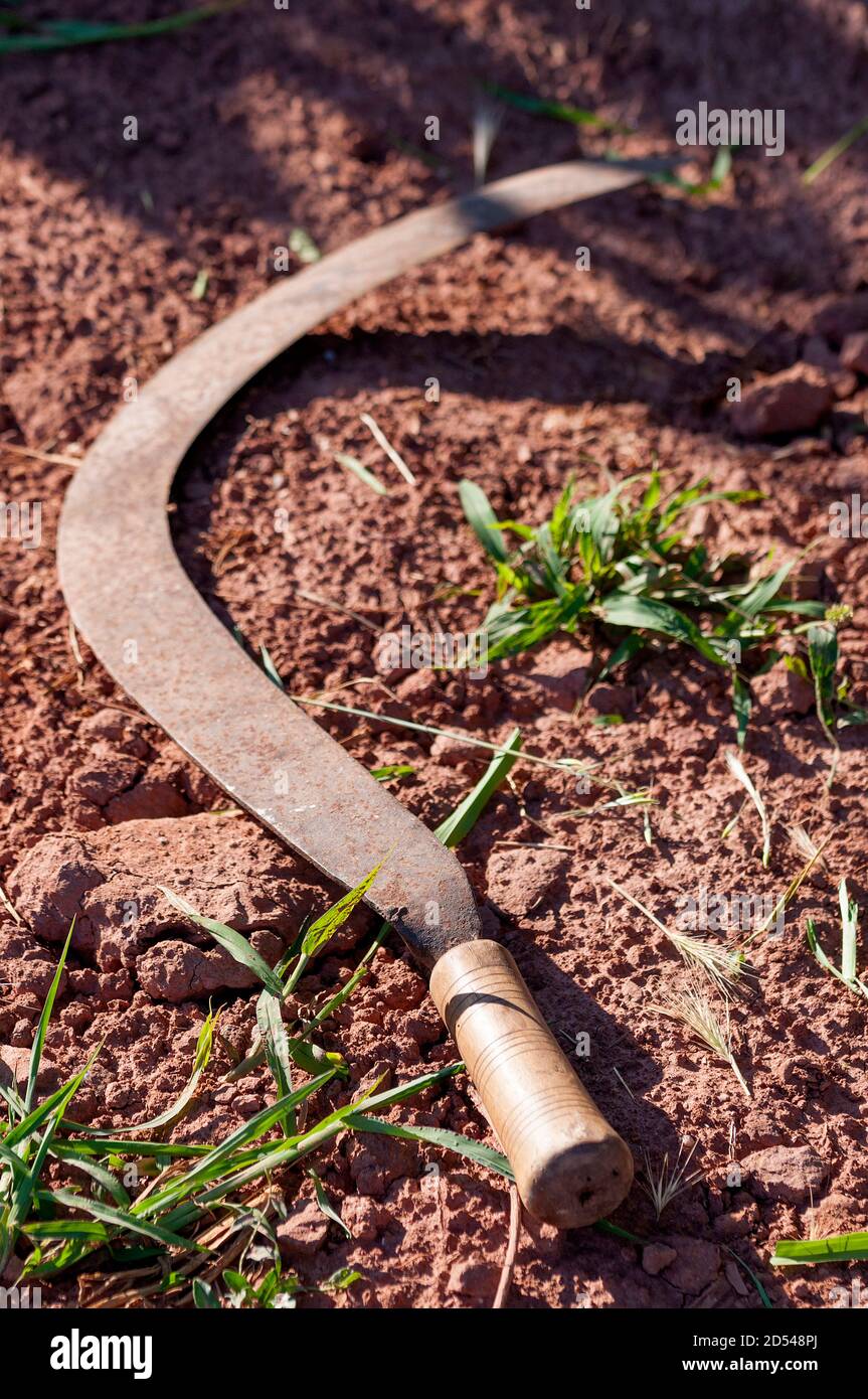 Garden tool, Sickle for the orchard Stock Photo - Alamy