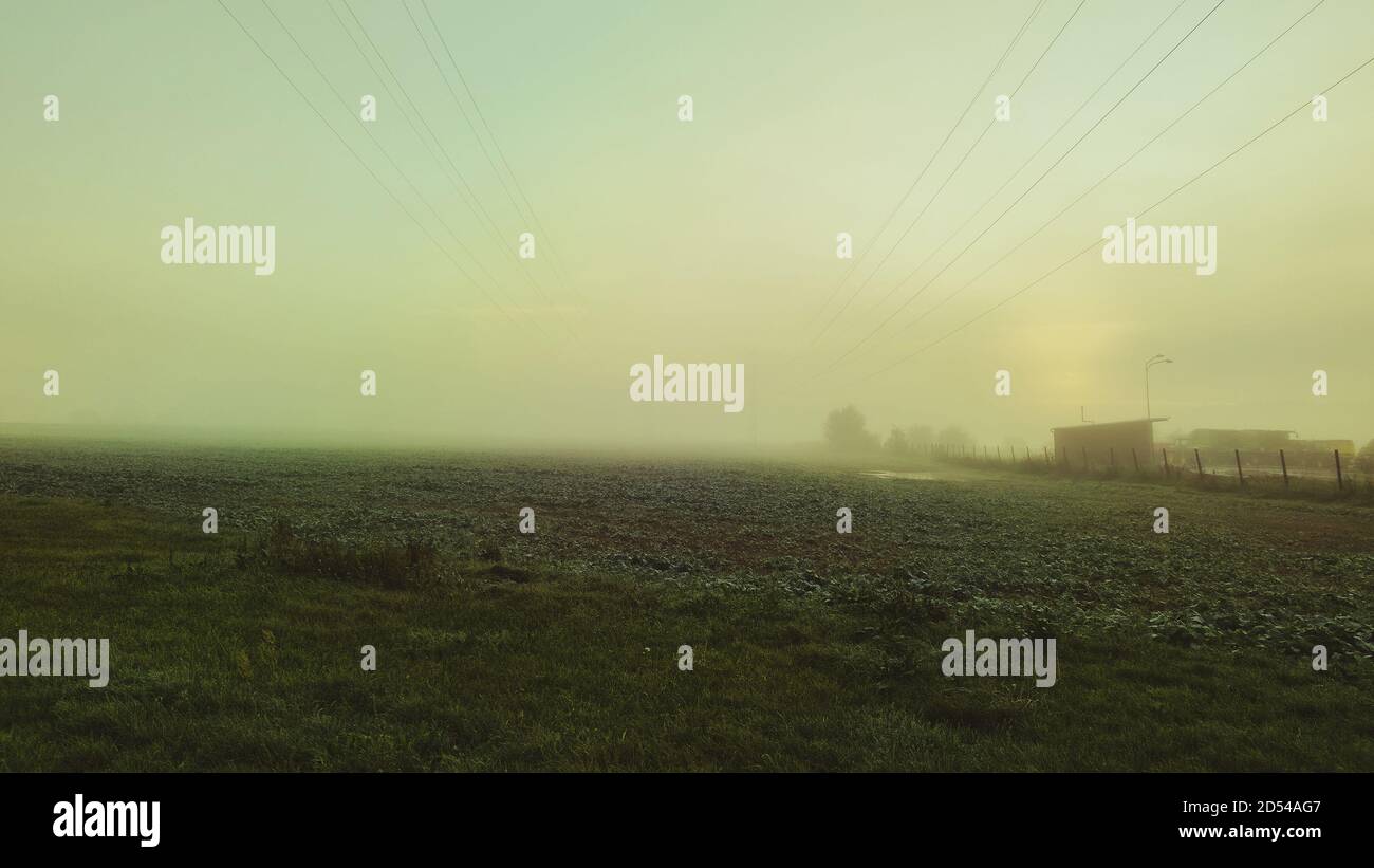 field in autumn fog, Early autumn morning. Dense fog envelops the ...