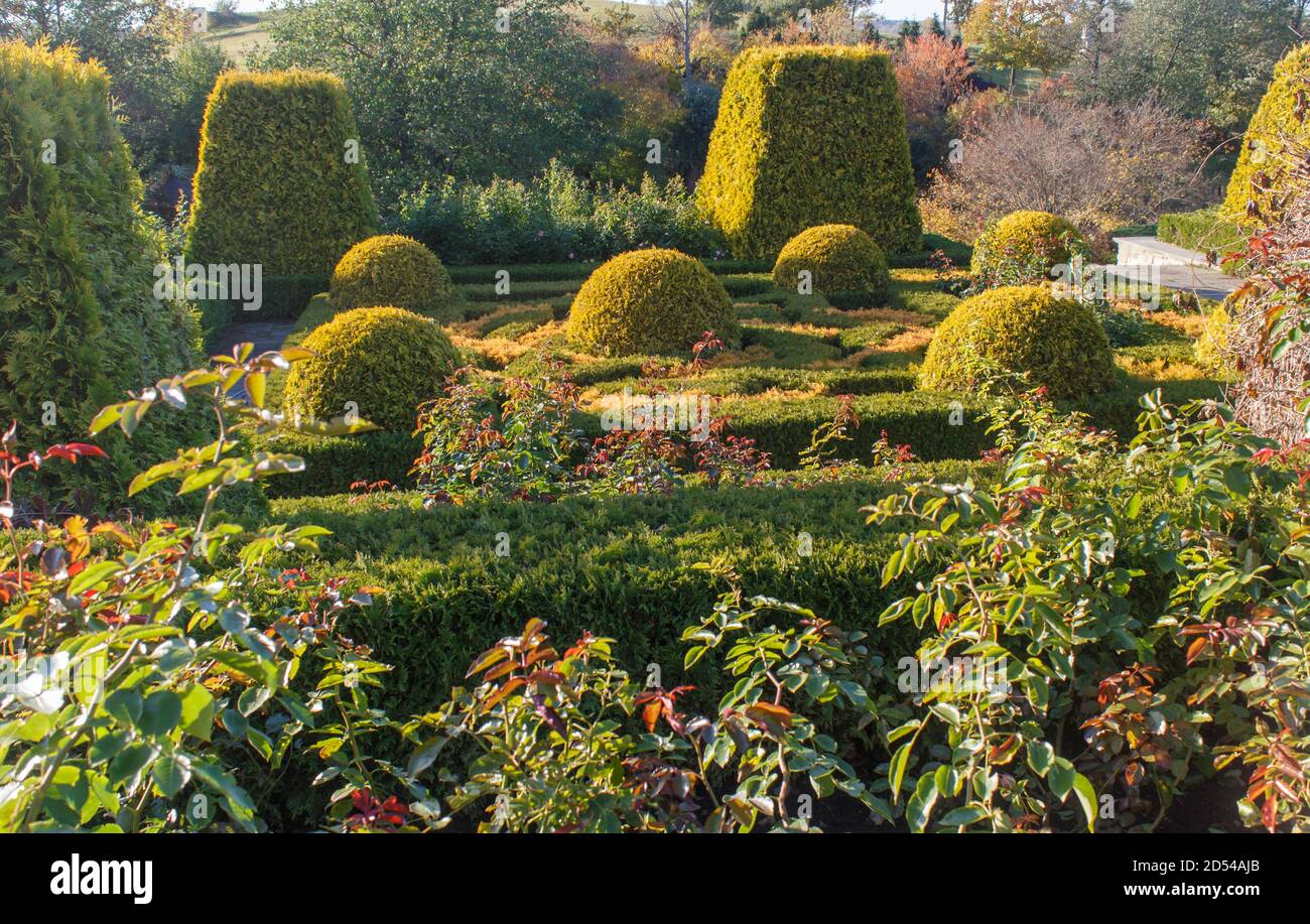 Cottage garden with topiary, hedges, trimmed bushes. Modern landscape ...
