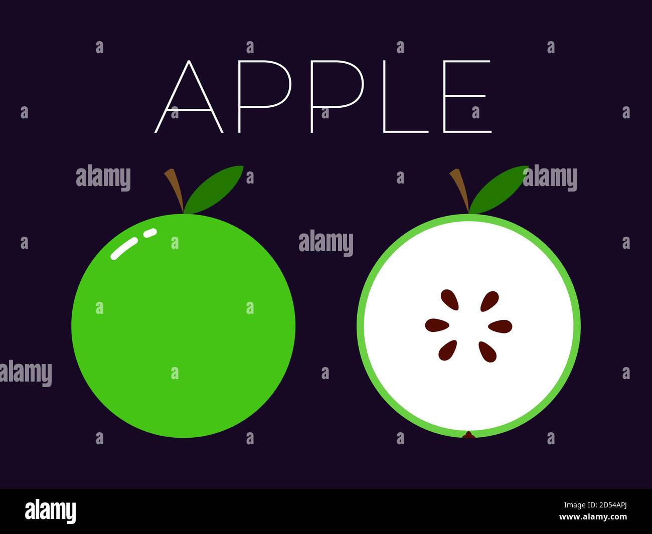 Vector of apple and sliced half of apple on dark background Stock ...