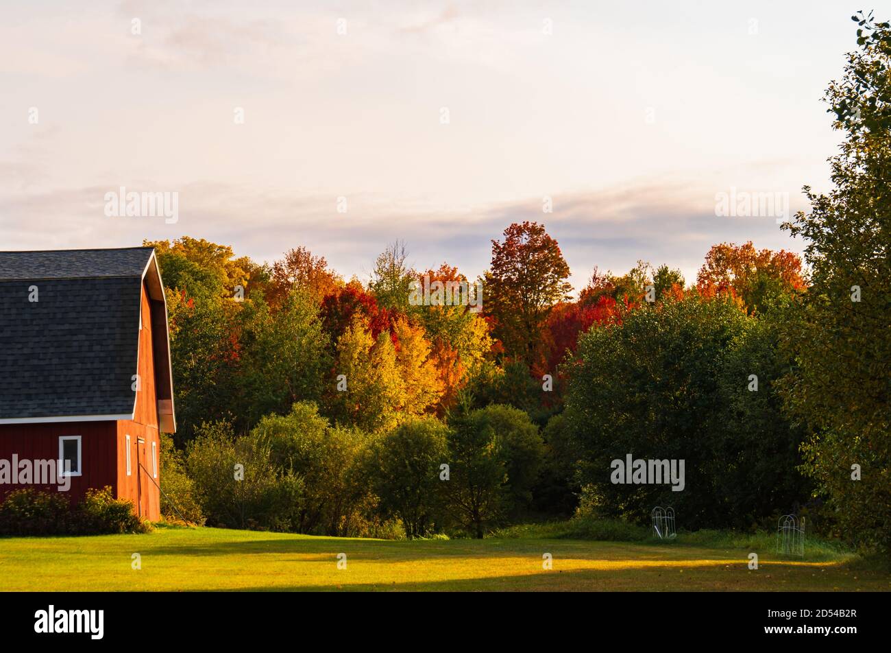 evening sunlight lighting up red barn and trees in fall foliage colors ...