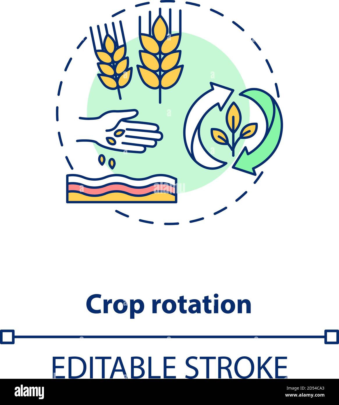 Crop rotation concept icon Stock Vector Image & Art - Alamy