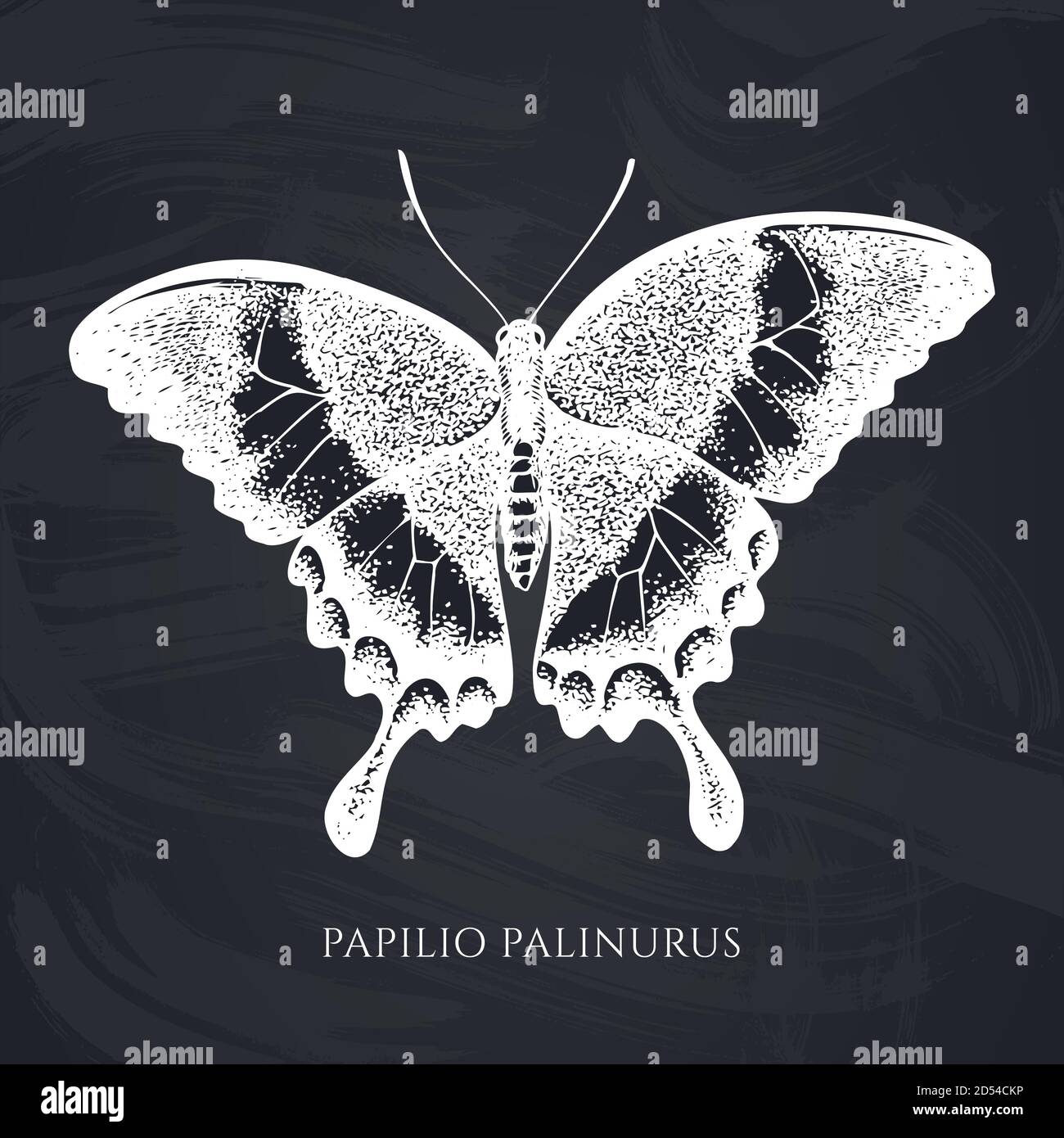 Vector set of hand drawn chalk emerald swallowtail Stock Vector Image ...