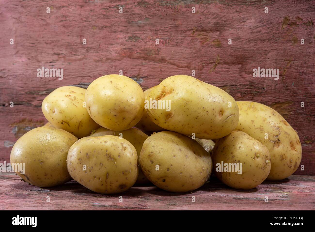 White English potatoes (Solanum tuberosum). English potatoes are the ...