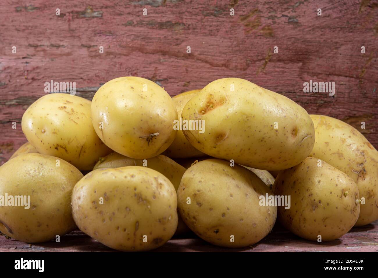White English potatoes (Solanum tuberosum). English potatoes are the ...