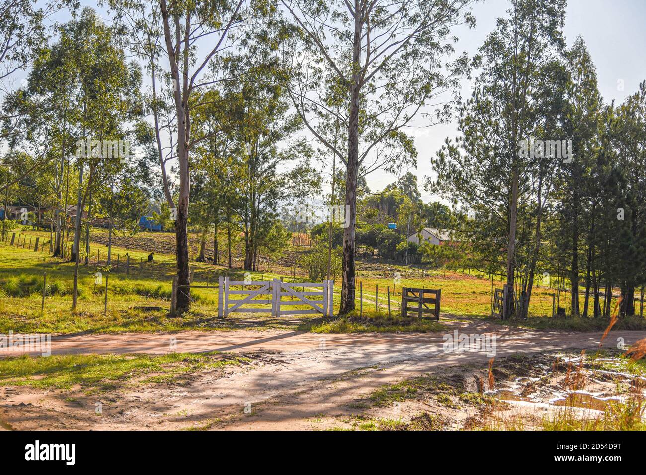 Wooden gate. Entrance of rural property in southern Brazil. Area of ...