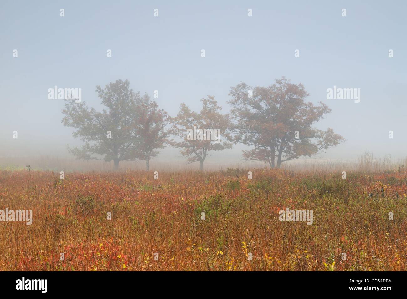 Washington dc park silhouette hi-res stock photography and images - Alamy