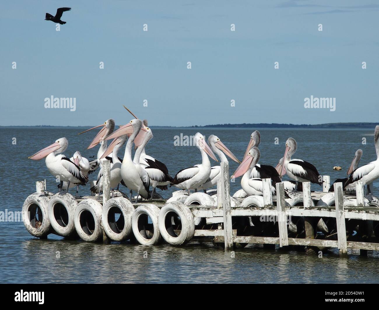 Milang south australia hi-res stock photography and images - Alamy