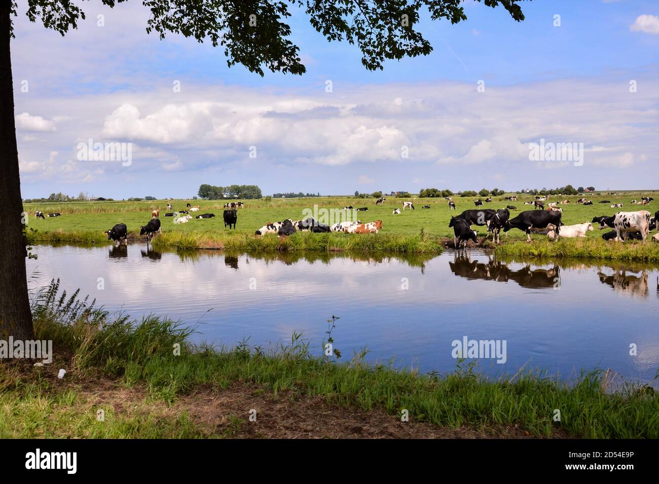European natural countryside Stock Photo - Alamy