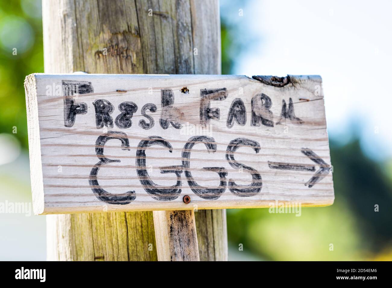 Rural countryside sign for fresh farm eggs directional signpost in ...