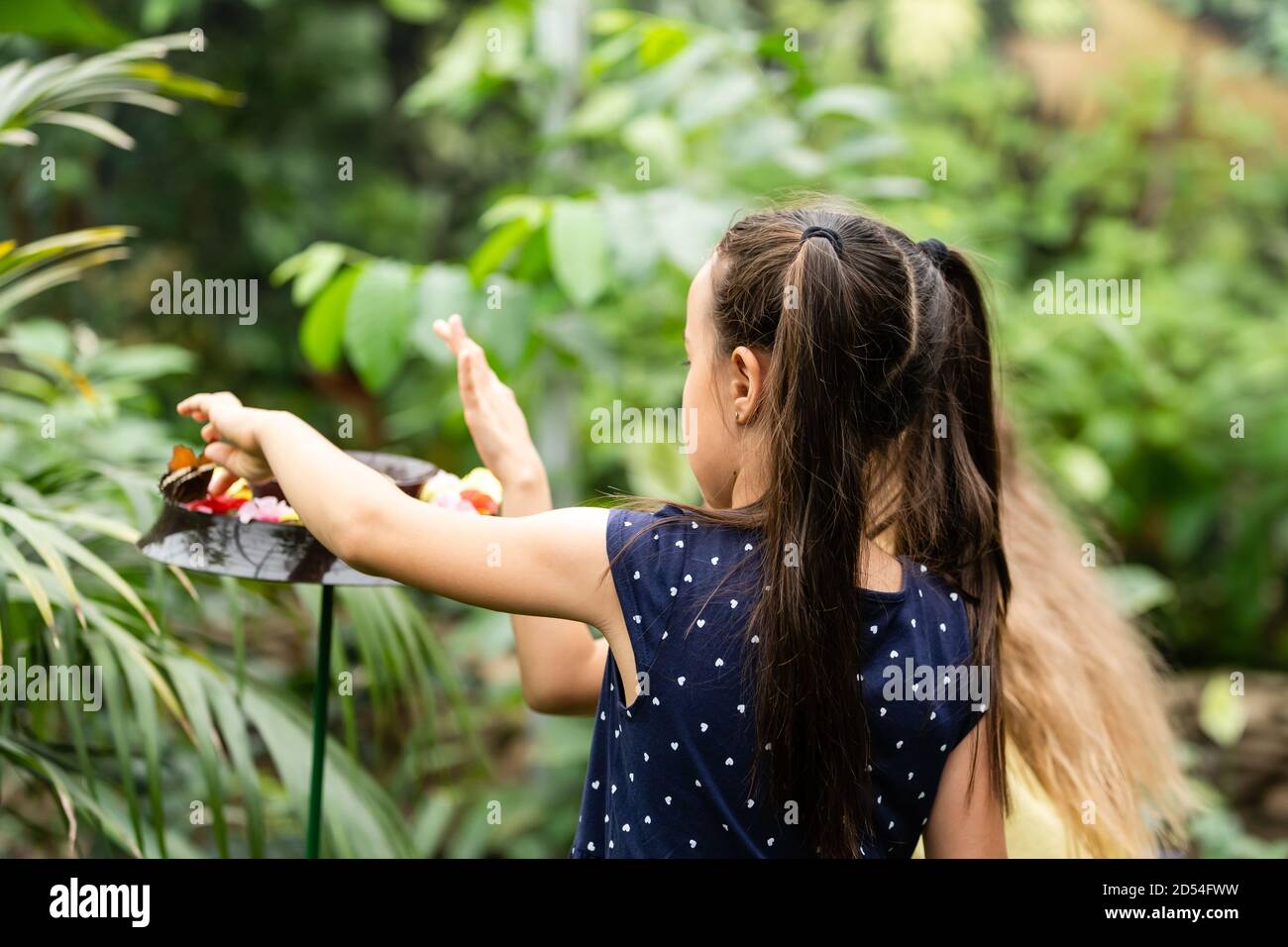 Little girl holding butterfly in her hand Stock Photo - Alamy