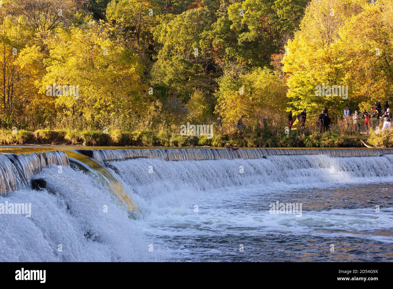 Toronto humber valley hi-res stock photography and images - Alamy