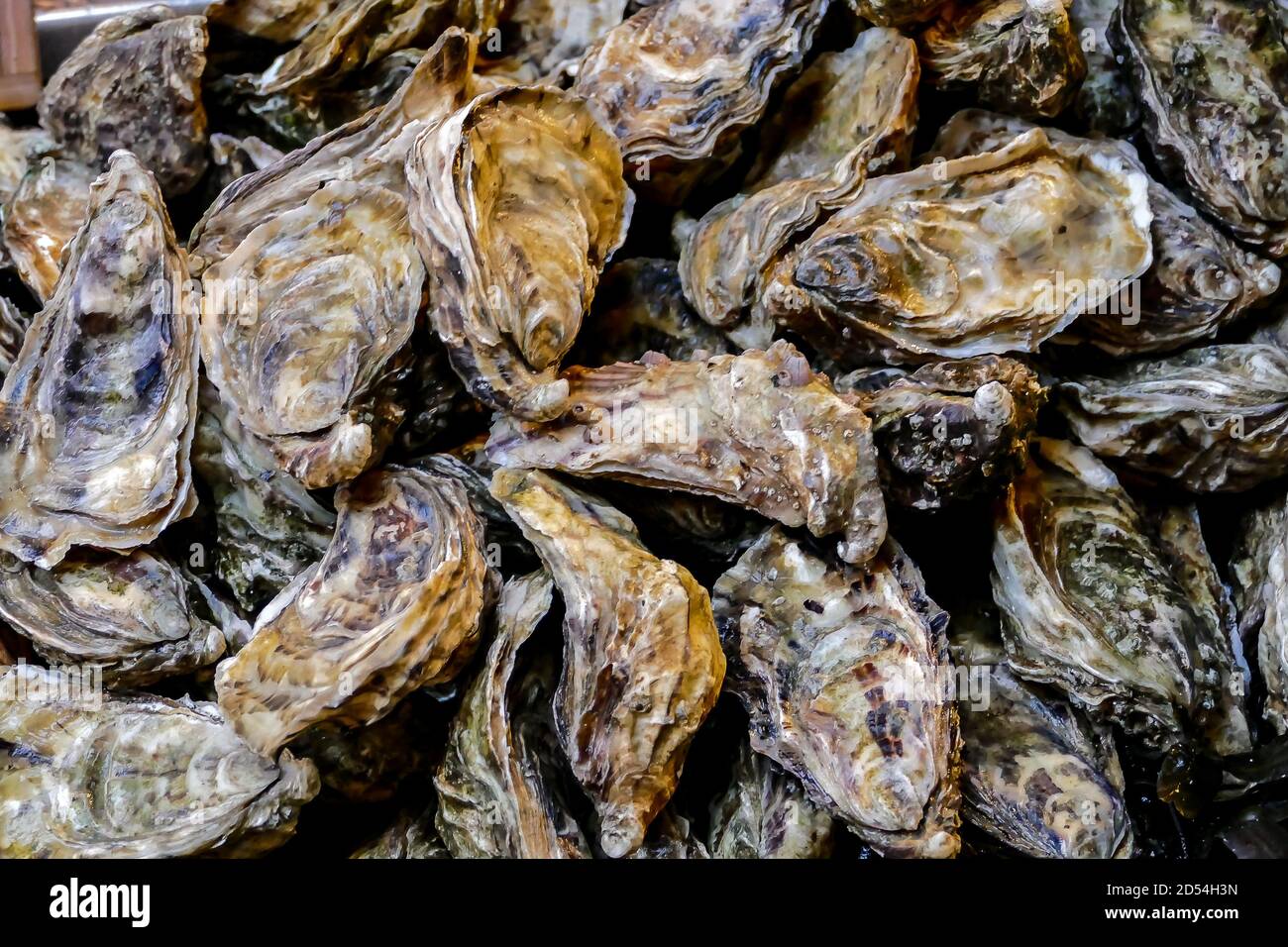 Typical french raw food oyster in Paris Metropolitan City Stock Photo ...