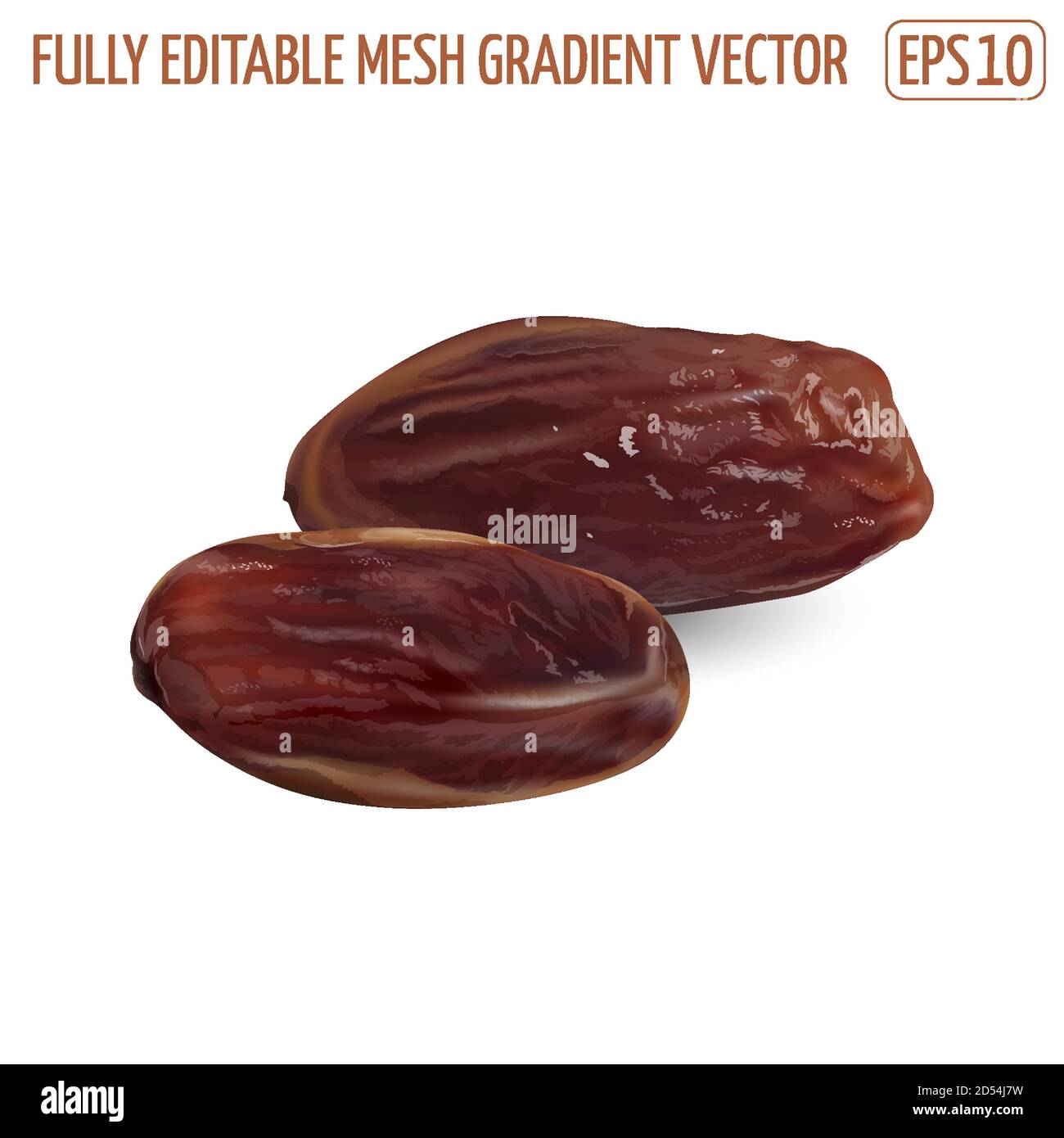 Two dry dates on a white background Stock Vector Image & Art - Alamy