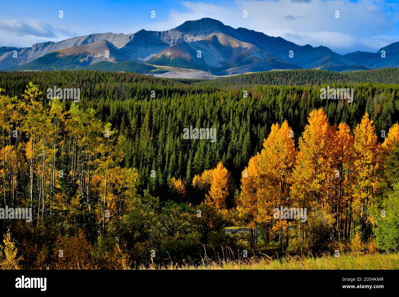 A beautiful fall scene along highway 40 near Cadomin Alberta Canada ...