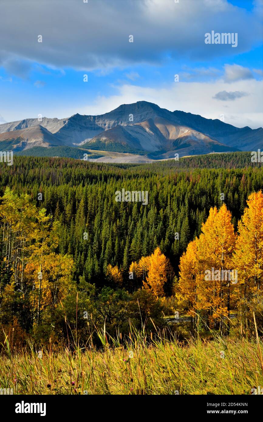 Beauty rocky mountains hi-res stock photography and images - Alamy