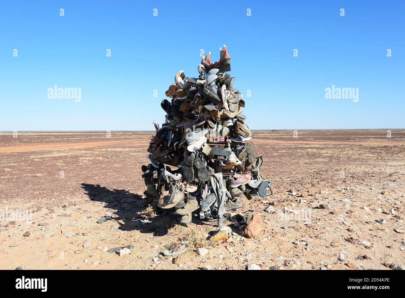 Australian shoe tree hi-res stock photography and images - Alamy
