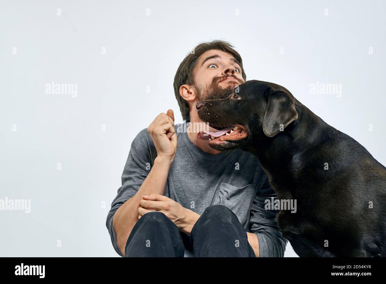 happy owner with pet black dog training model emotions Stock Photo - Alamy