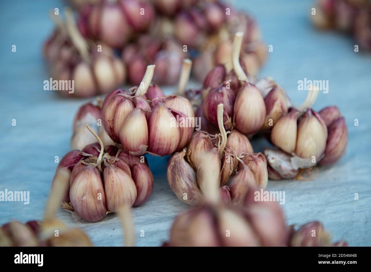 Closeup shot of peeled red garlic bulbs Stock Photo - Alamy