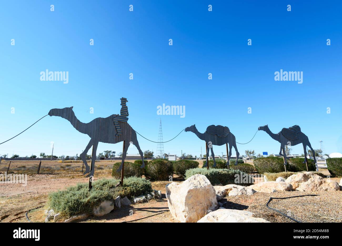 Camels sculptures representing early inland exploration, Birdsville ...