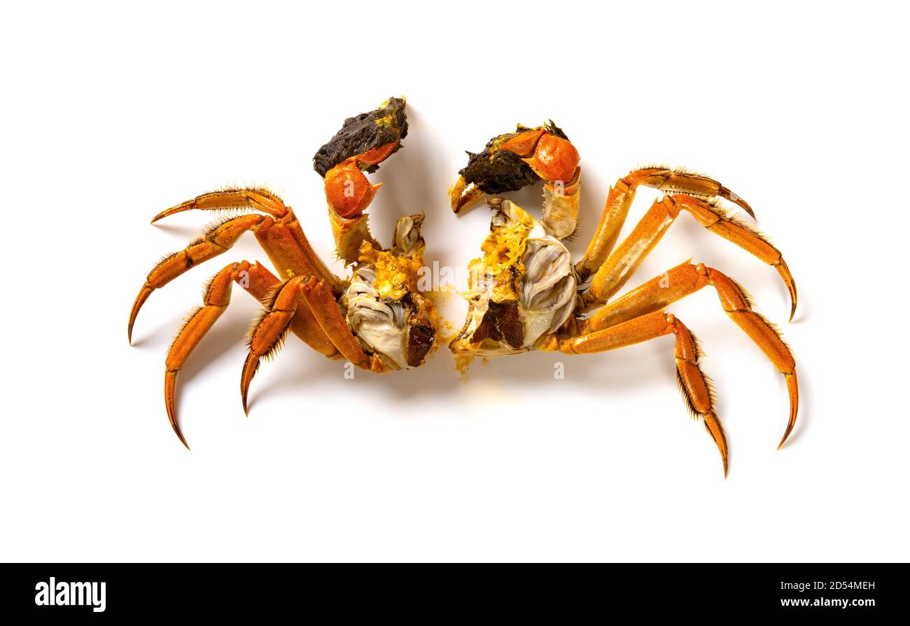 top view cooked crab with the lid opened on a white background Stock ...