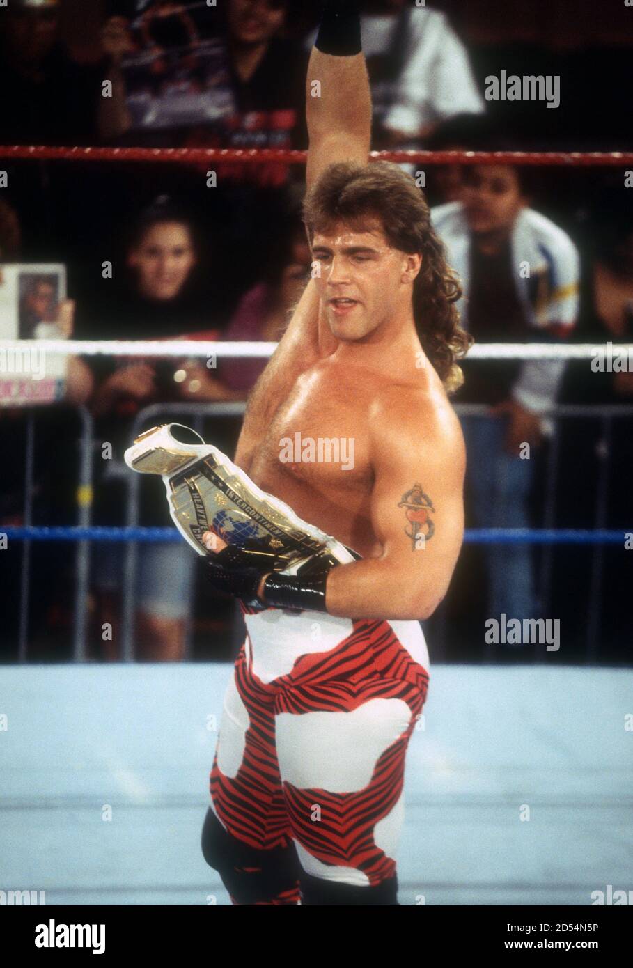 Shawn Michaels Intercontinental Champion