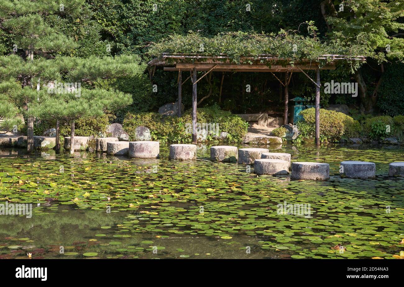 Garyu Bridge through the Soryu-ike pond covered with water lilies and ...
