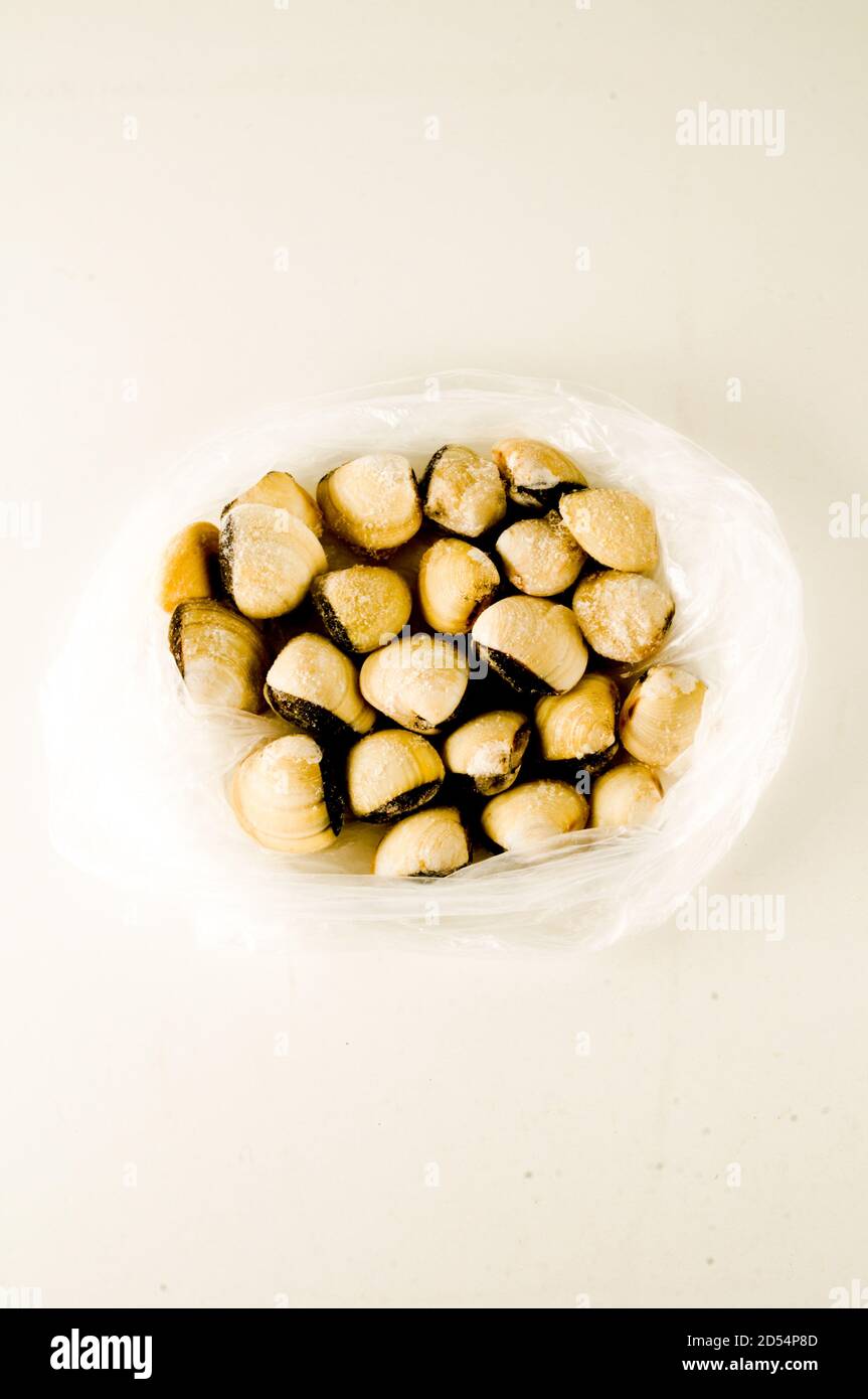 Collection of various clam shells Stock Photo - Alamy