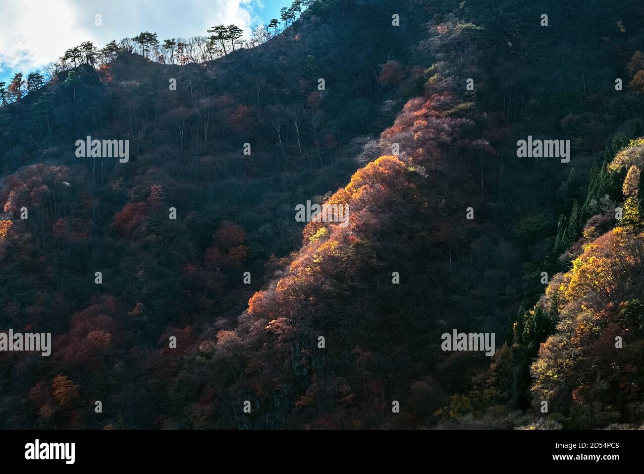 Lake Akaya in Autumn, Gunma Prefecture, Japan Stock Photo - Alamy