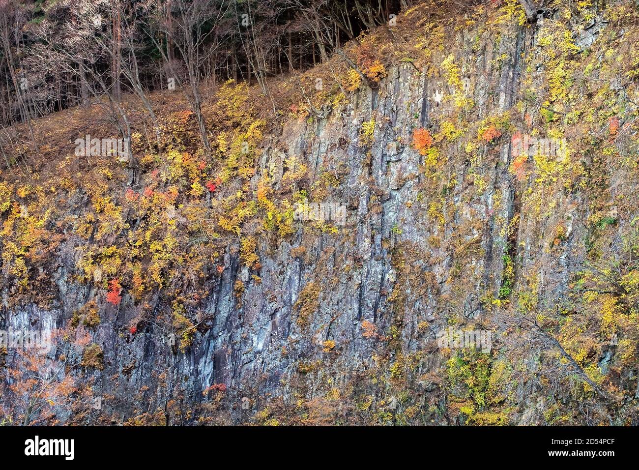 Cliff with autumn foliage Stock Photo - Alamy