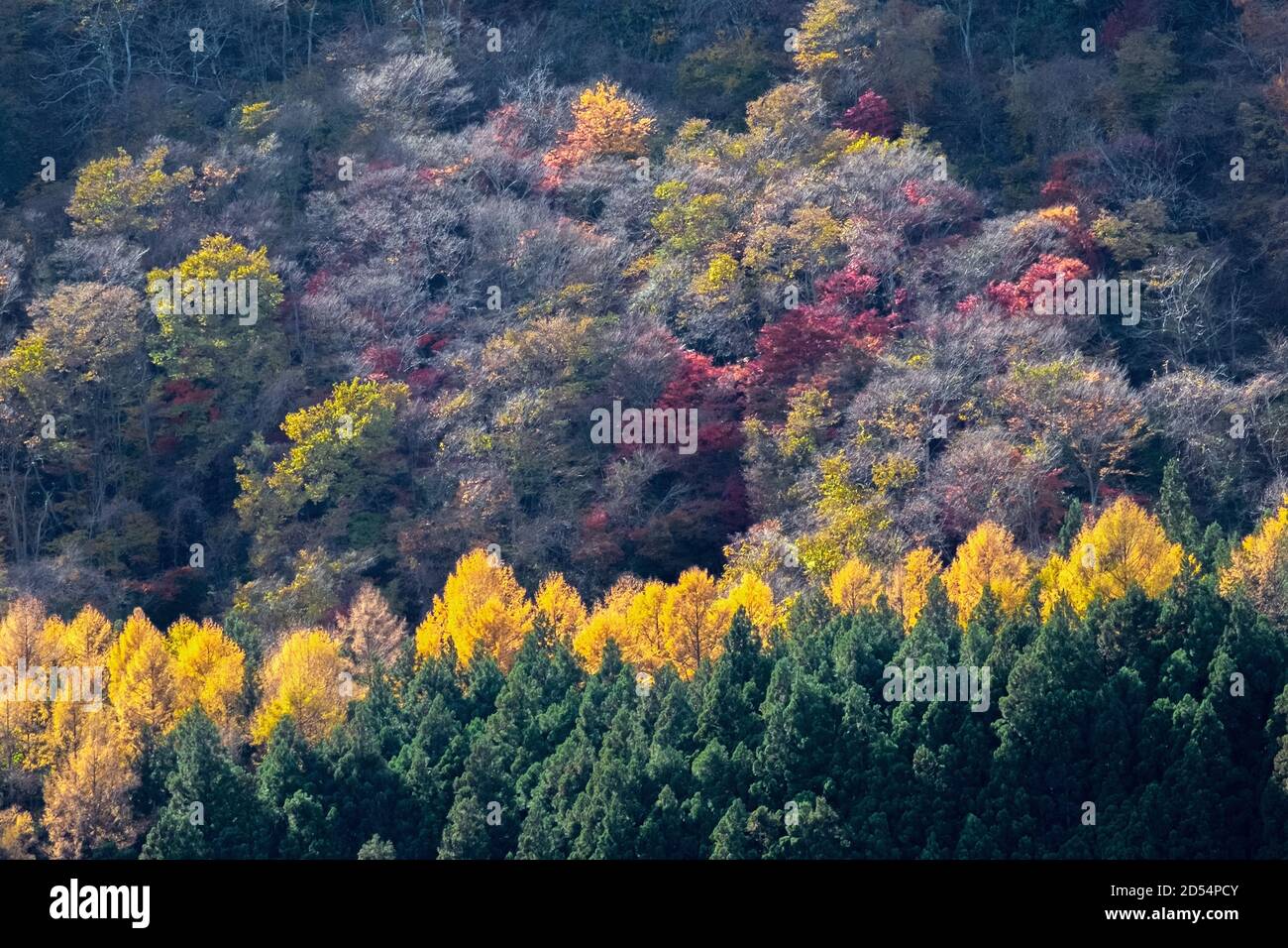 Gunma High Resolution Stock Photography and Images - Alamy