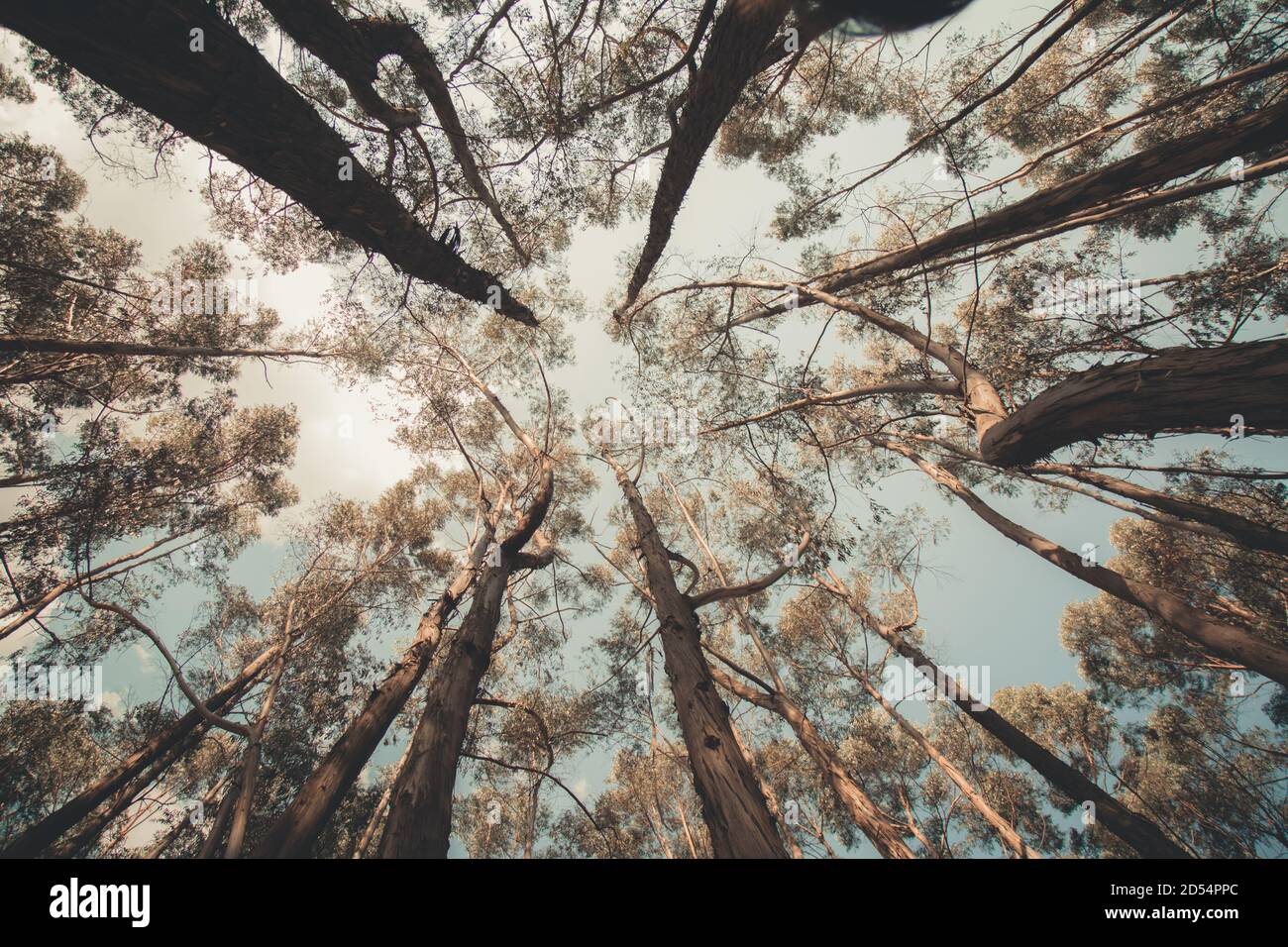 Nadir angle hi-res stock photography and images - Alamy