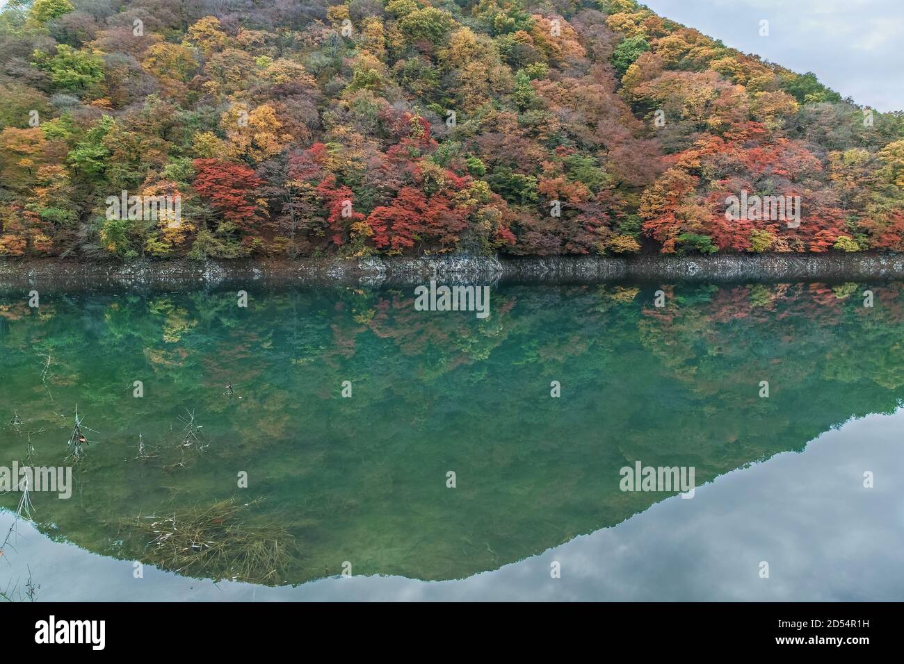 Autumn Leaves and Lake Stock Photo - Alamy