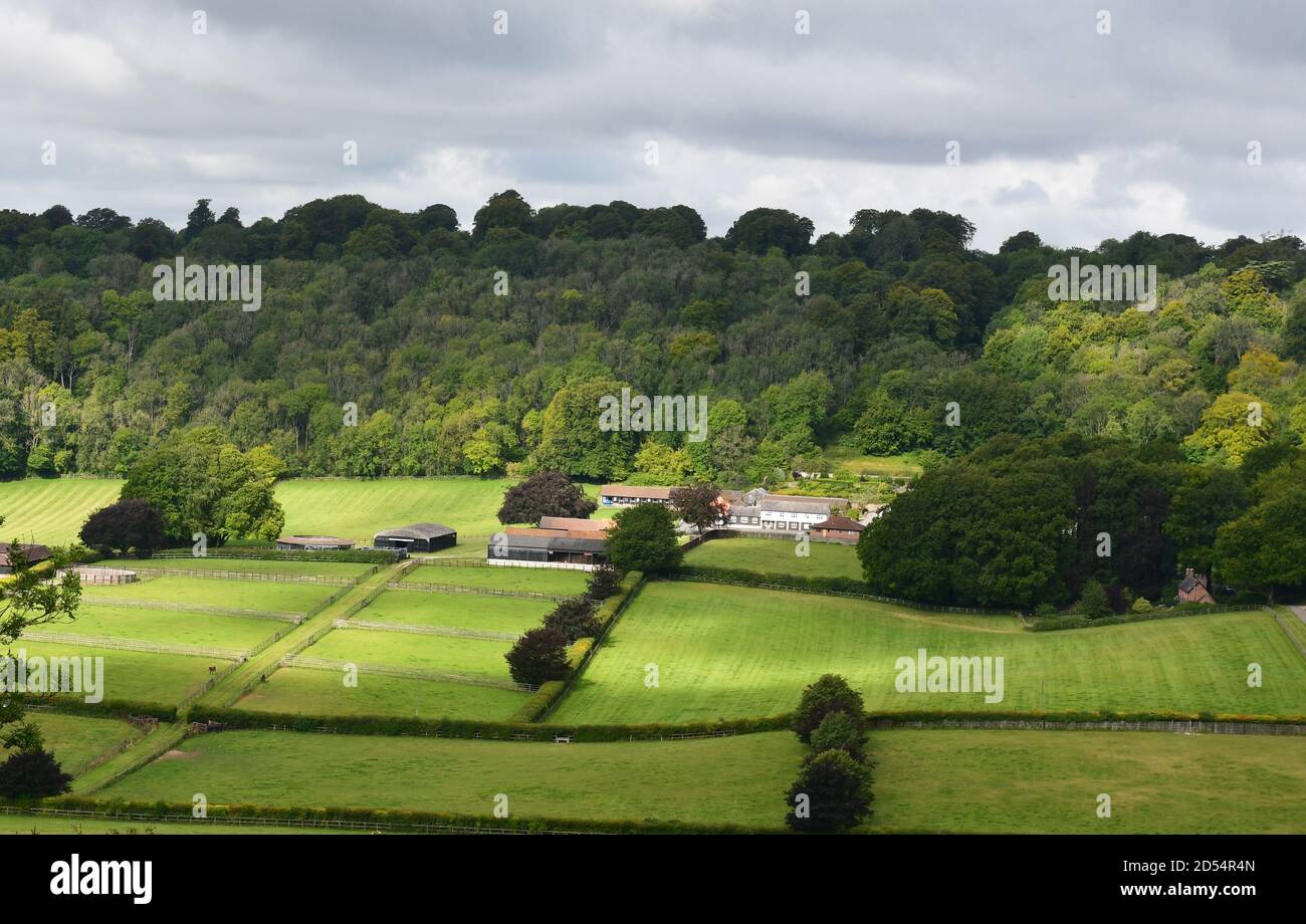Highclere horse hi-res stock photography and images - Alamy