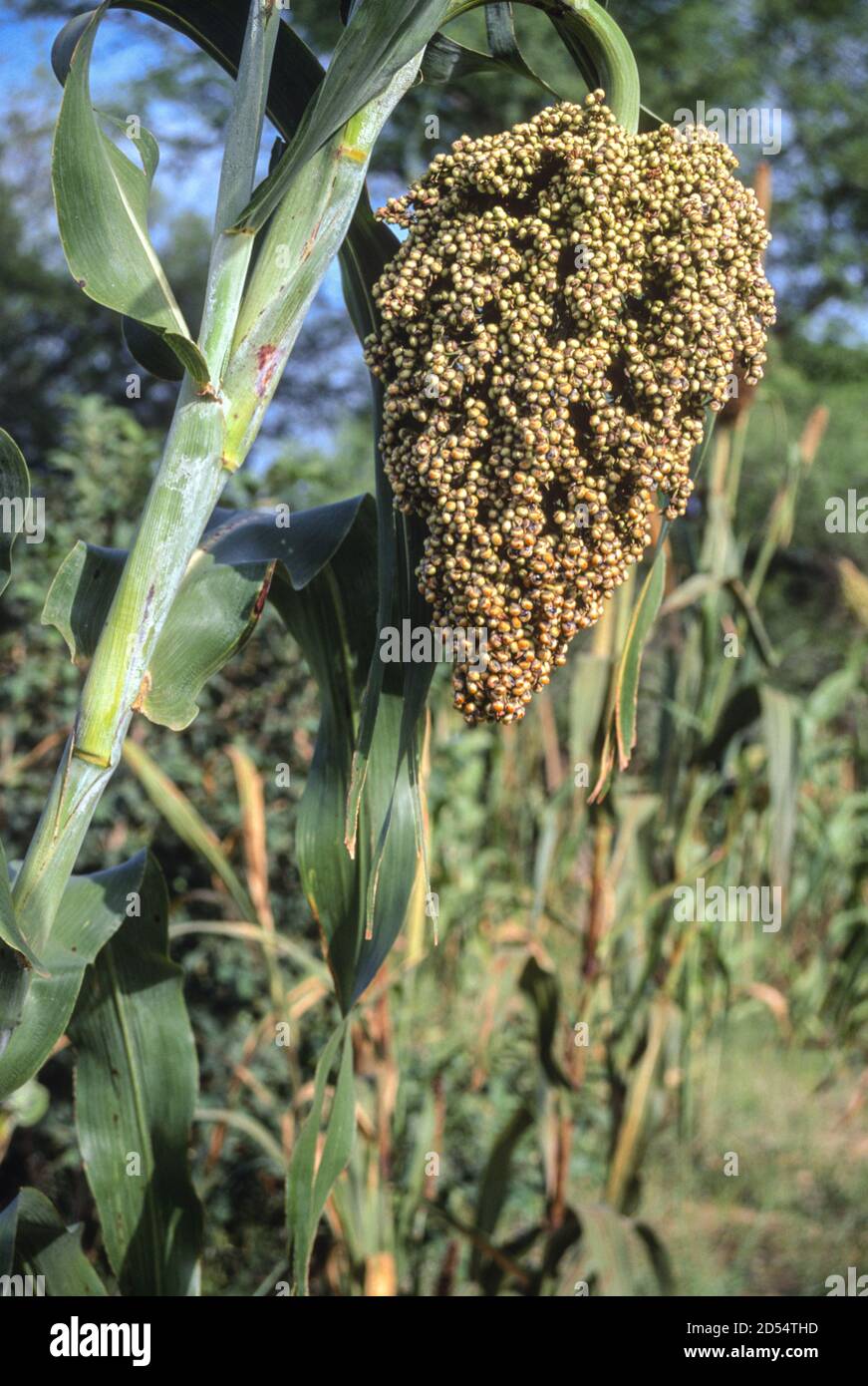 Droum hi-res stock photography and images - Alamy