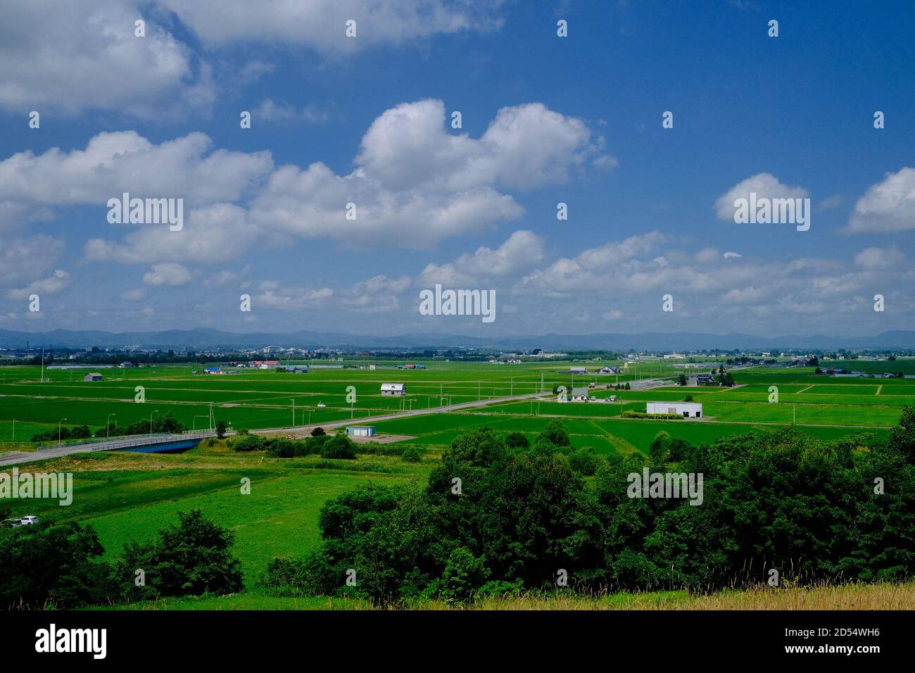 Rice Paddy, View from the Mountain Stock Photo - Alamy
