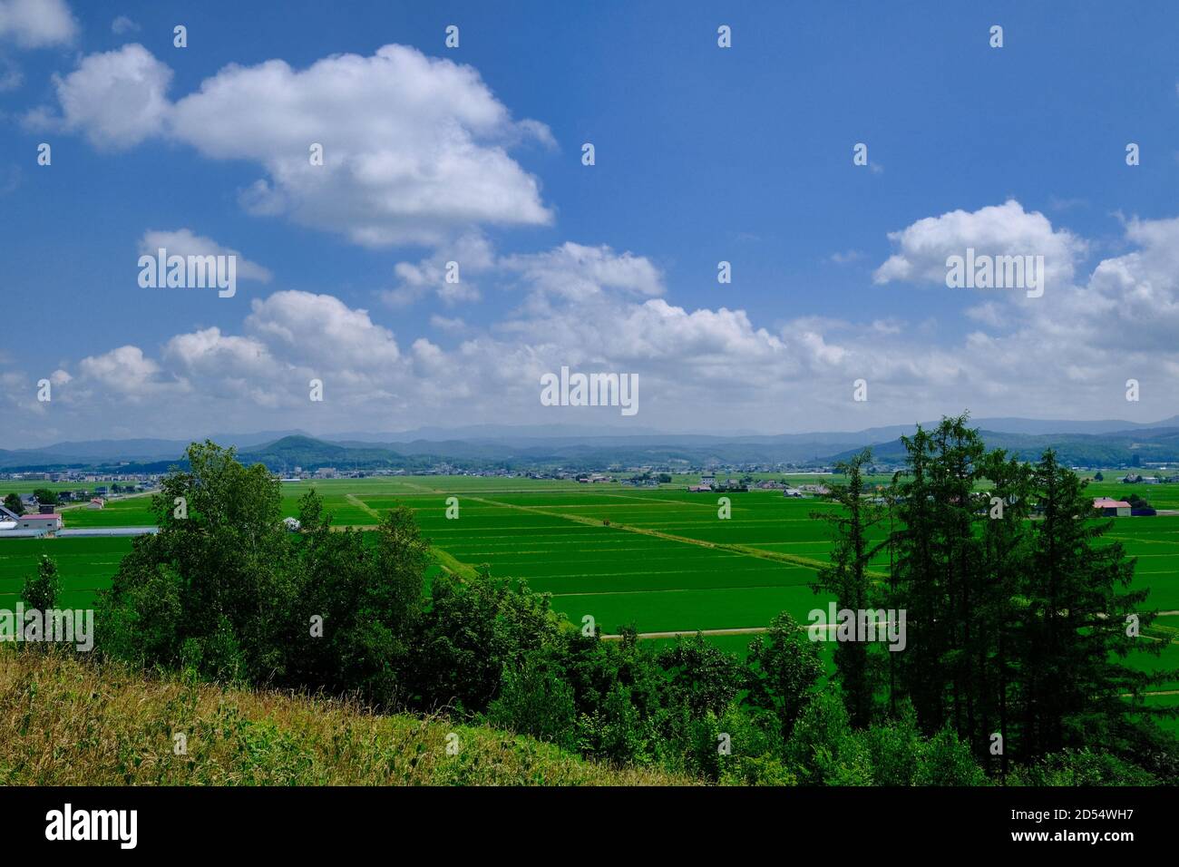 Rice Paddy, View from the Mountain Stock Photo - Alamy