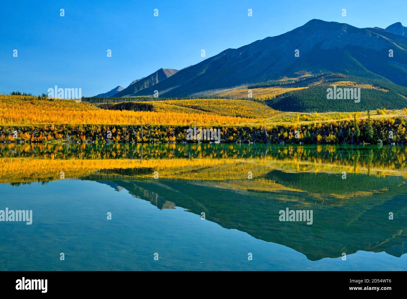 A beautiful autumn reflective image on Talbot Lake in Jasper National ...