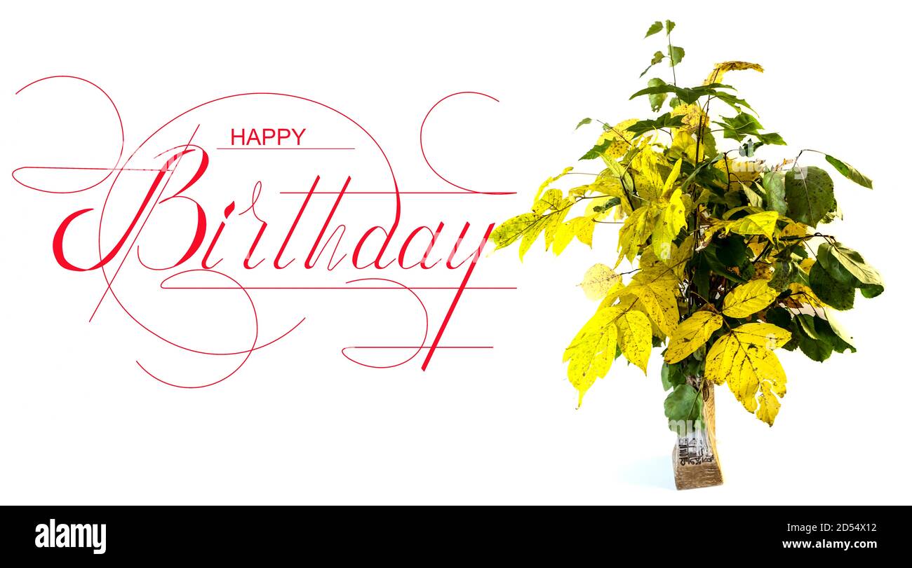 Birth day lettering Cut Out Stock Images & Pictures - Alamy