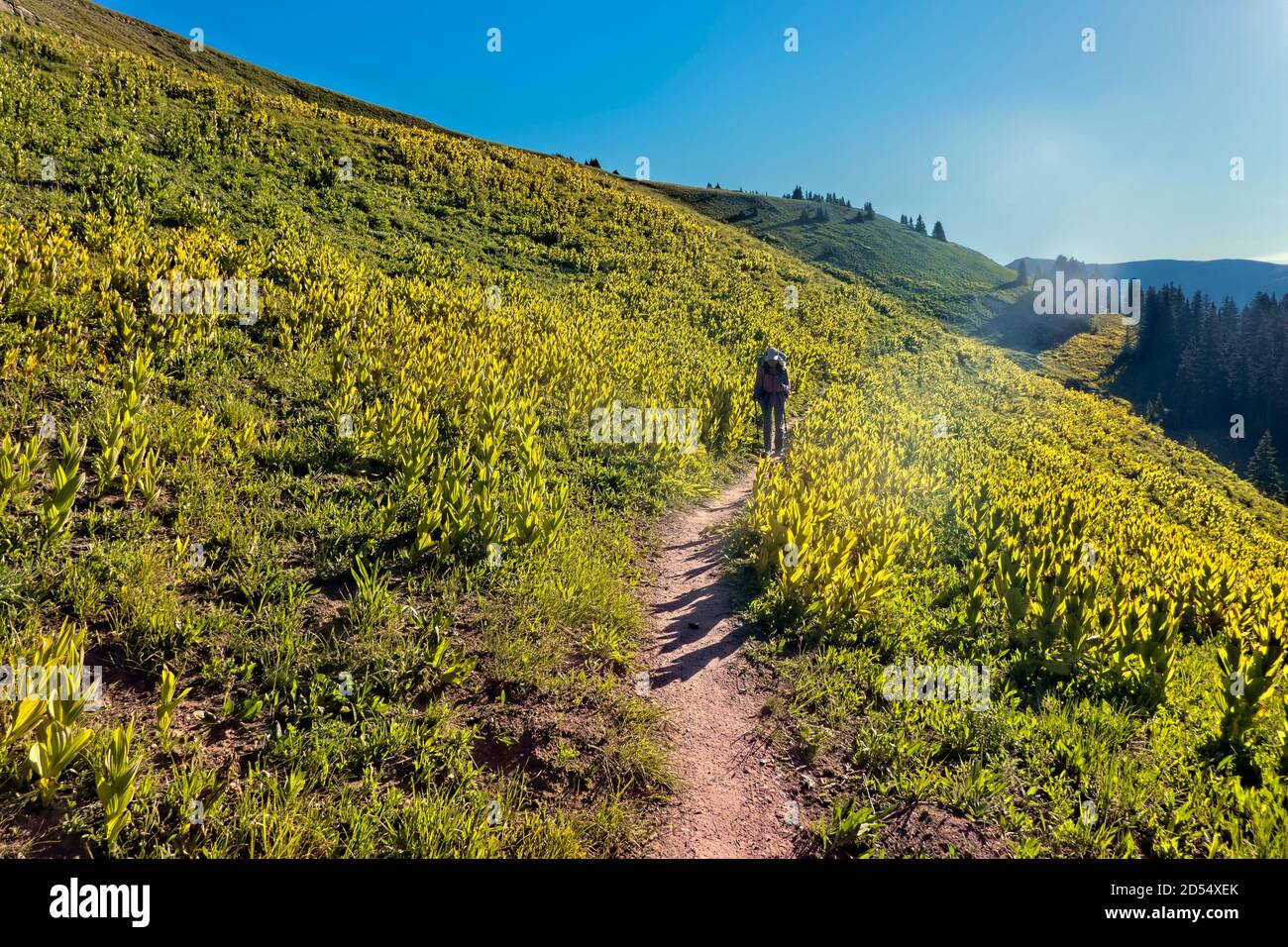 Backpacking from Molas Lake on the 485 mile Colorado Trail, Colorado ...