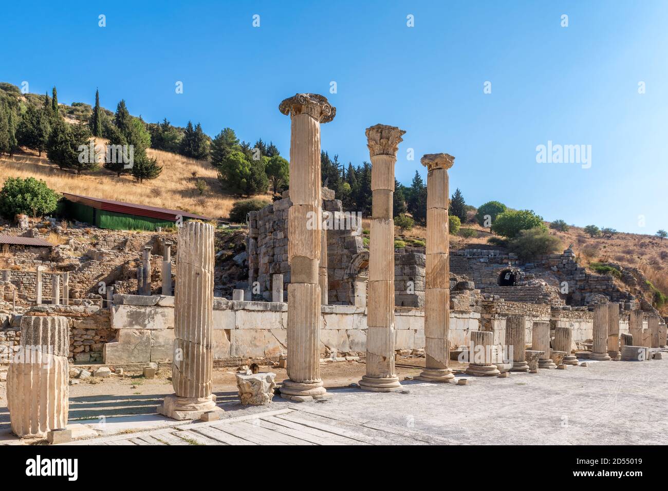 Beautiful Roman pillars in the ruins of Ephesus, Selcuk, Izmir, Turkey ...