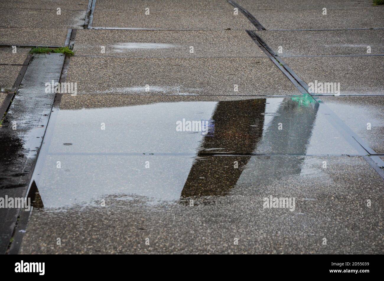 Puddle on a park pavement Stock Photo - Alamy