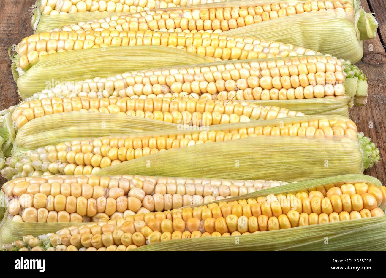 A row of fresh, slightly peeled corn cobs. Rustic style Stock Photo - Alamy