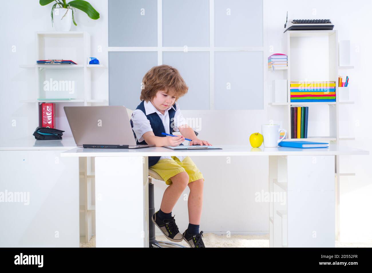 Little kid boy businessman entrepreneur using computer looking at ...