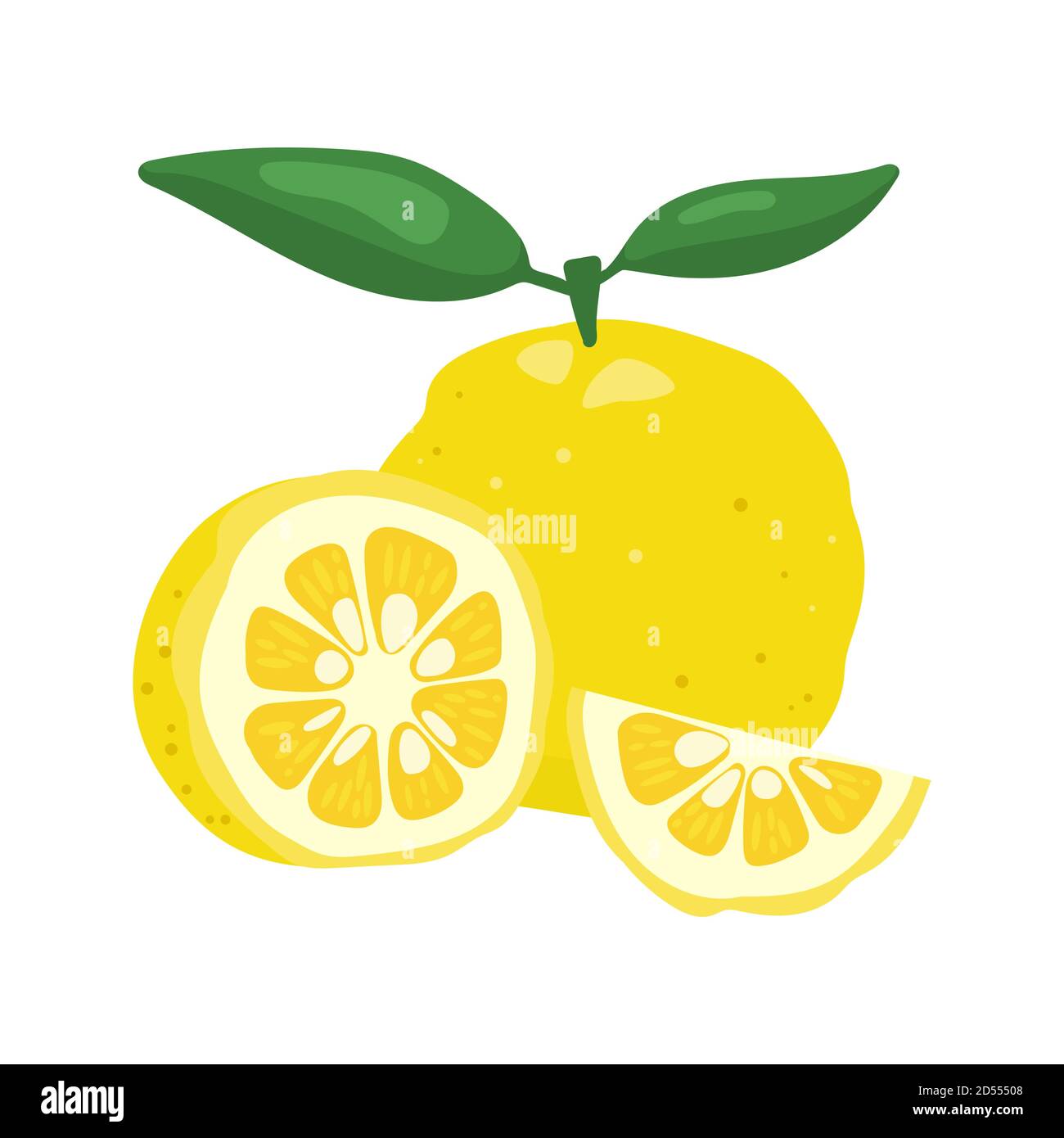 Yuzu japaness citron fruit vector illustration Stock Vector Image & Art ...